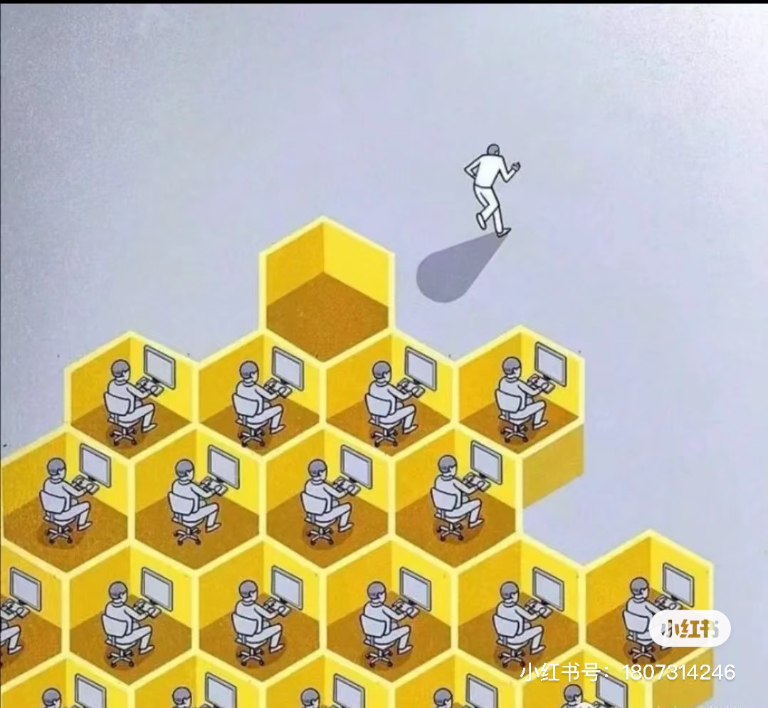 information cocoon – Digital Media, Society, and Culture